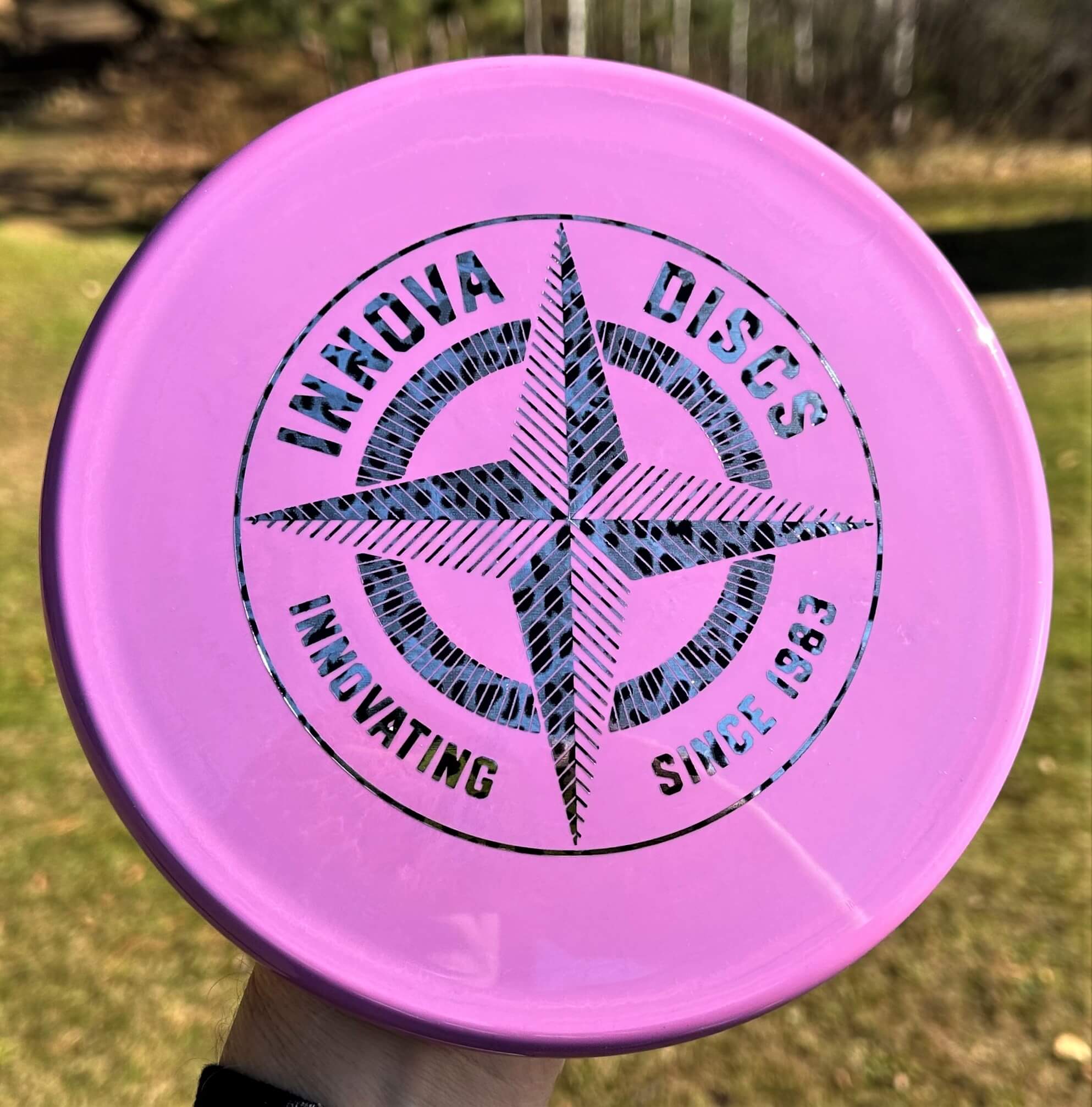 Proto Star First Run TORO - Overstable Approach - 172 grams (3008-1 ...